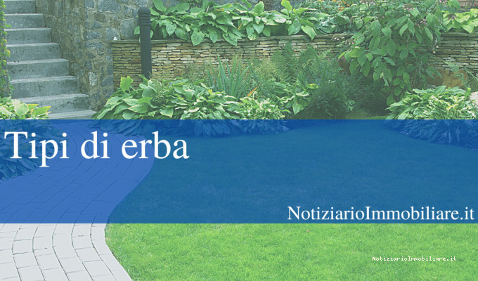 Tipi di erba